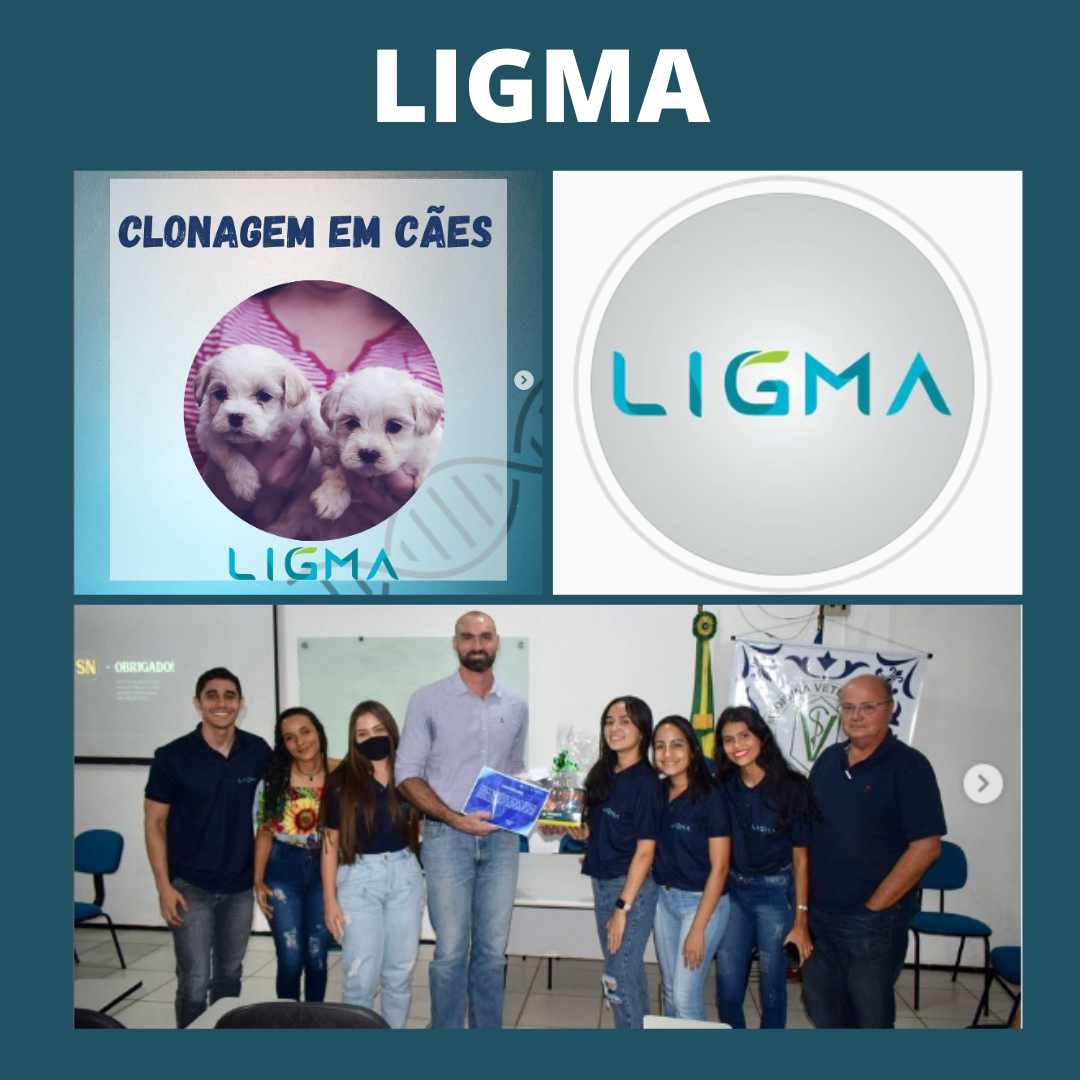Ligas Acadêmicas